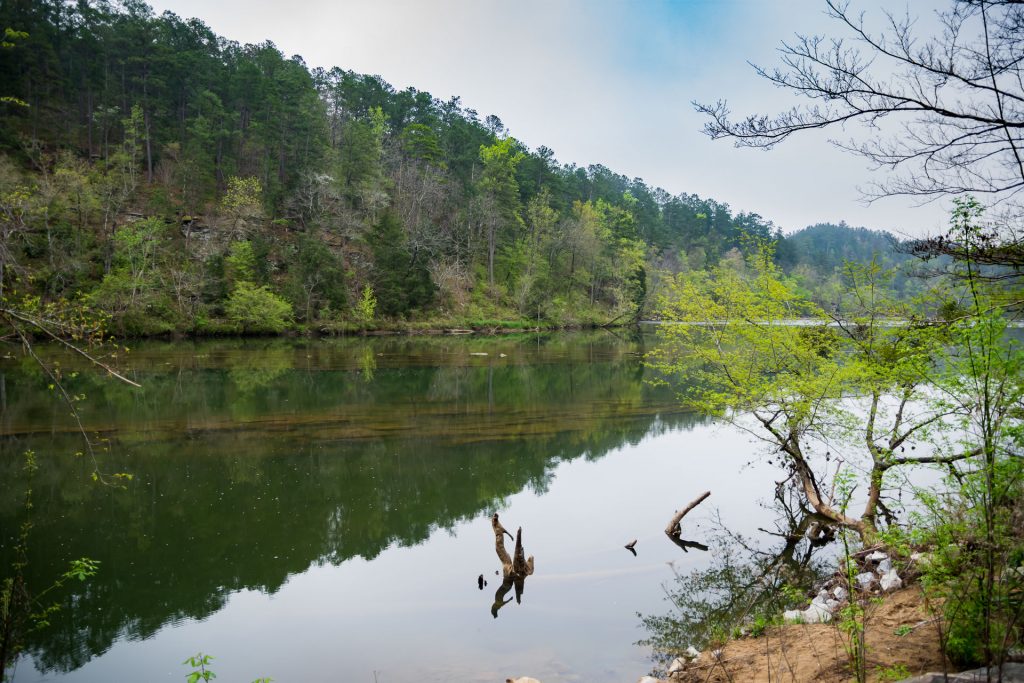Cahaba River Fish Advisory: Mercury Warning in Bibb County | The Bibb Voice