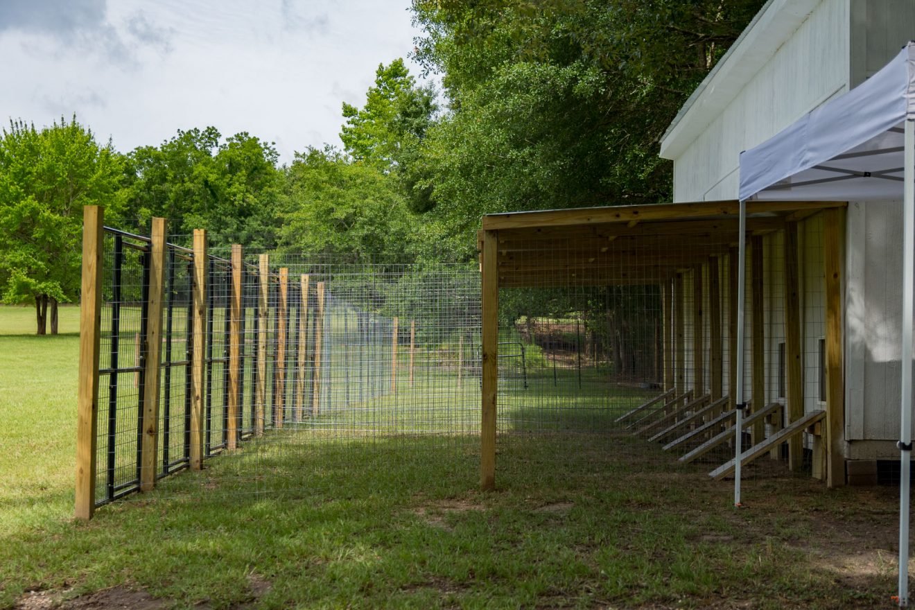 A New Kennel in Town: Tabernacle Farm’s Grand Opening | The Bibb Voice