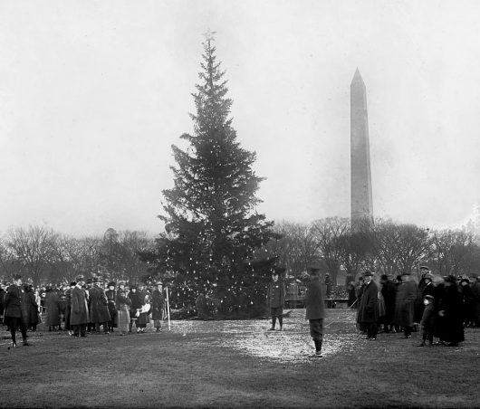 U. S. Christmas Tree Comes to Brent | The Bibb Voice