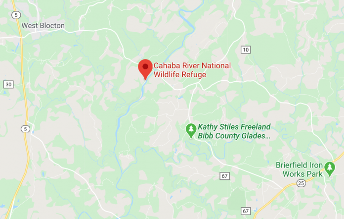 8 Things for Families to Do in Bibb County (While Staying Away From ...