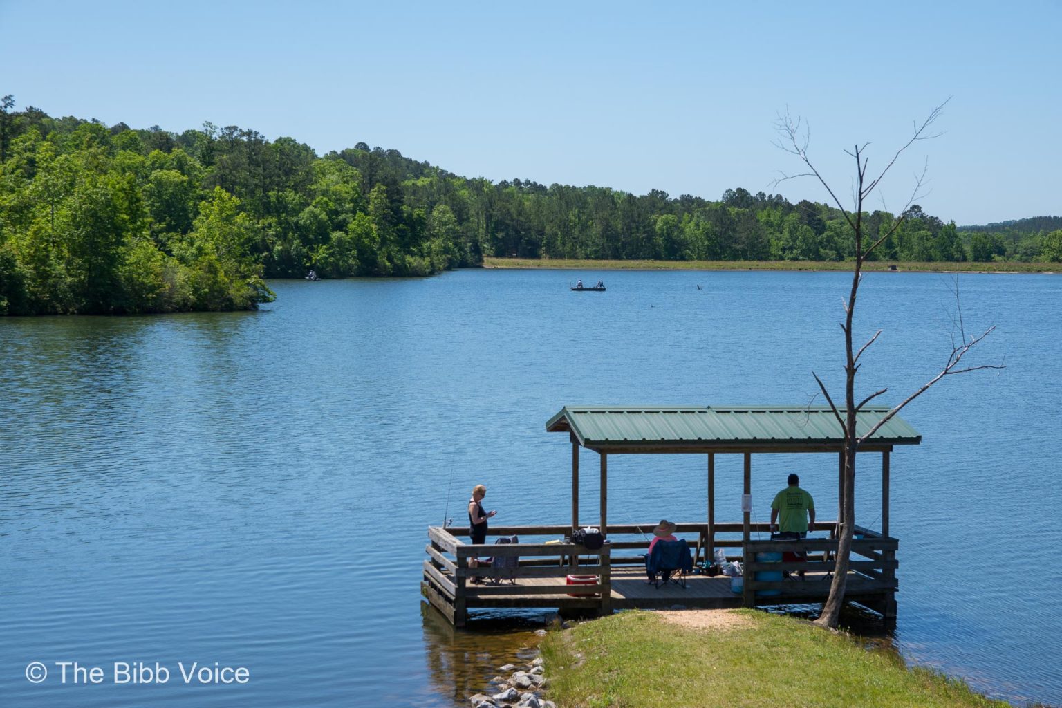 8 Things for Families to Do in Bibb County (While Staying Away From ...