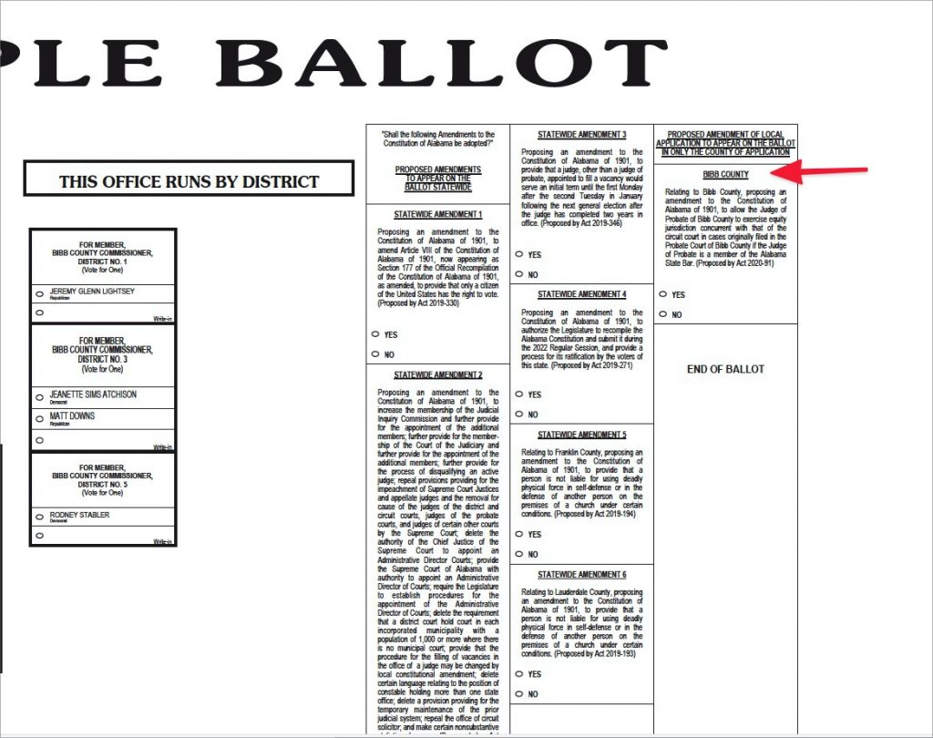 Proposed Constitutional Amendments for November 3 Election Ballot | The ...